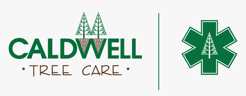Caldwell Tree Care - Graphic Design, HD Png Download , Transparent Png ...