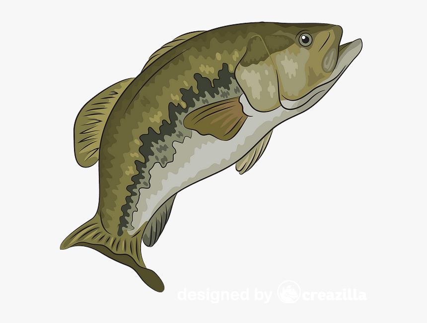 Carp Transparent Images Cartoon, HD Png Download , Transparent Png ...