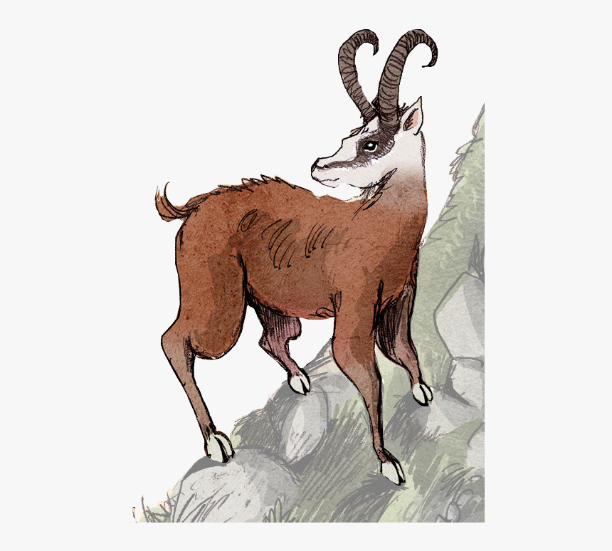 Transparent Myth Png - Immagini Dahu, Png Download , Transparent Png ...