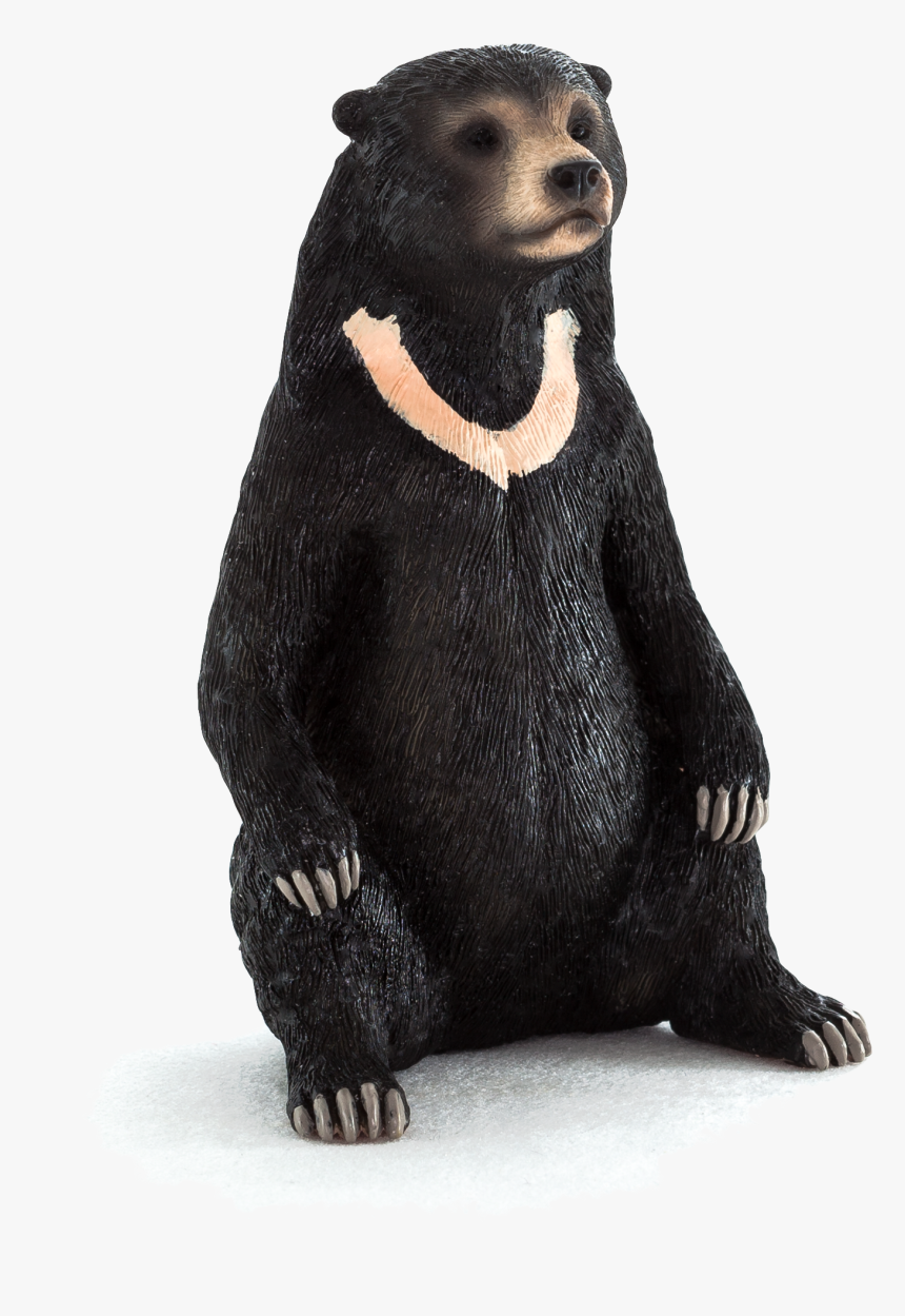 Transparent Realistic Sun Clipart - Sunbear Png, Png Download ...