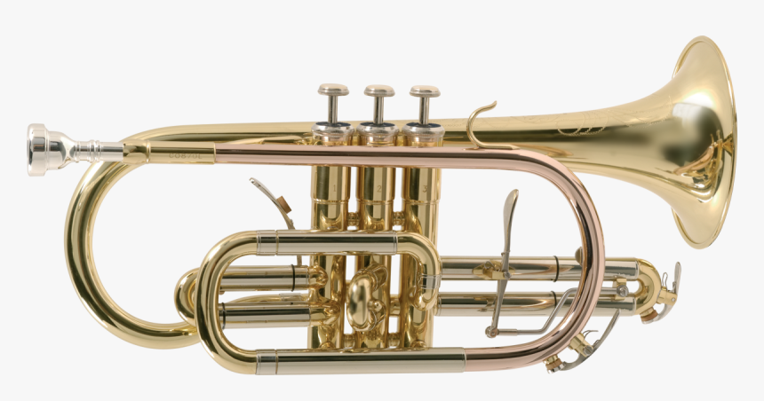 Clip Art Sib Co L Musical - Cornet, HD Png Download , Transparent Png ...