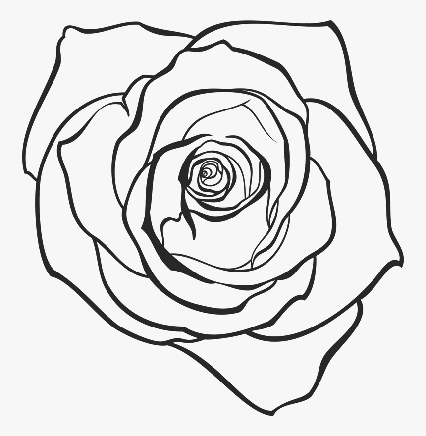 Drawn Rose, HD Png Download , Transparent Png Image - PNGitem