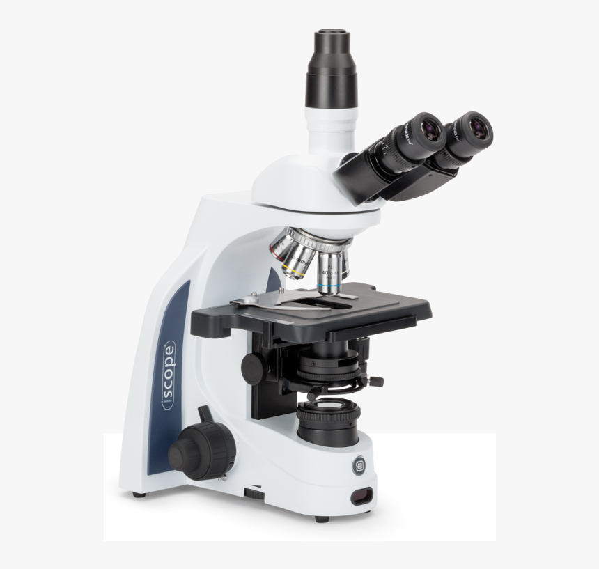 Transparent Microscope Vector Png - Microscope Euromex Ec 1153, Png ...