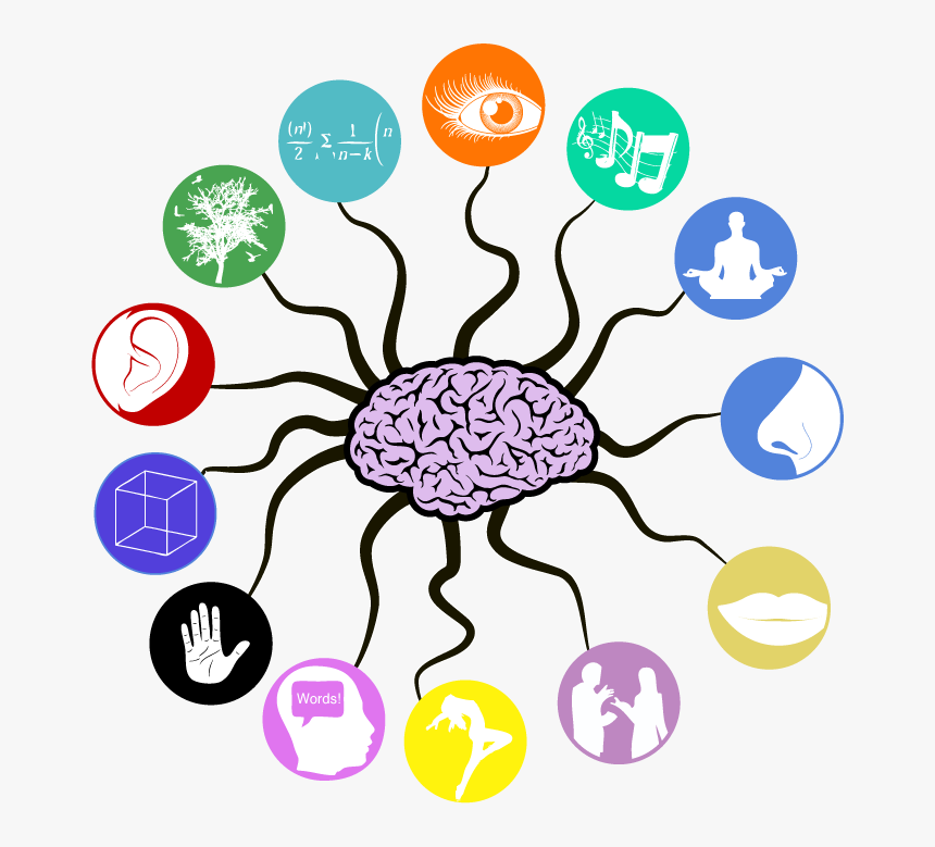 Brain Memory Clipart
