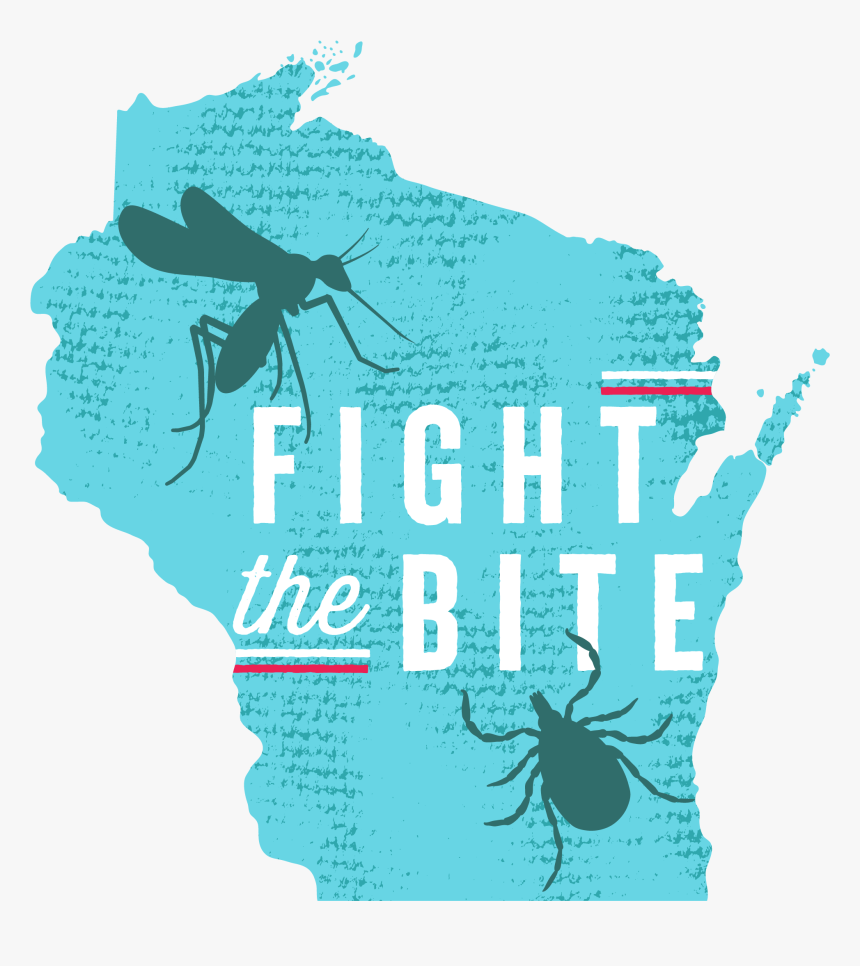 Awareness Of Vector Borne Disease Poster, HD Png Download , Transparent ...