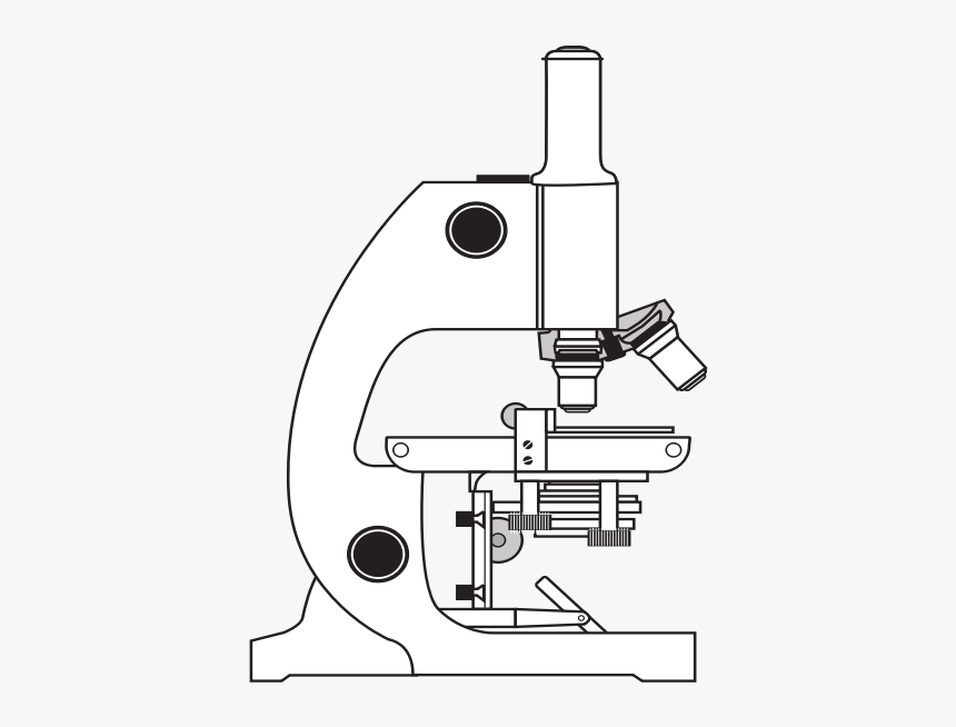 Simple Microscope - Use Light Microscope Ppt, HD Png Download ...