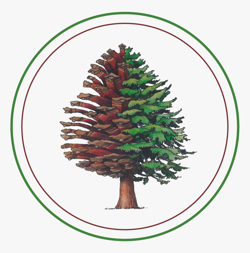 Transparente Circulo, HD Png Download , Transparent Png Image - PNGitem