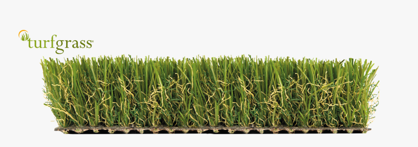 Sweet Grass, HD Png Download , Transparent Png Image - PNGitem