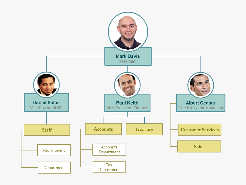 Organizational Chart For Creative Company, HD Png Download ...