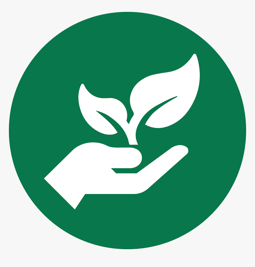 Transparent Talent Png - Nurturing Talent Icon Png, Png Download ...