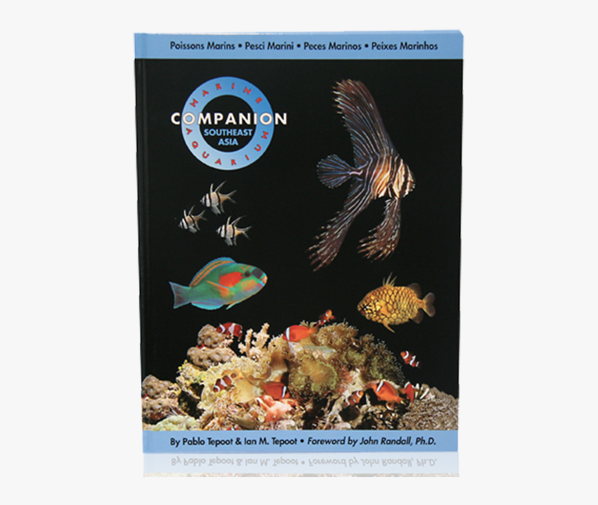 Marine Biology, HD Png Download , Transparent Png Image - PNGitem