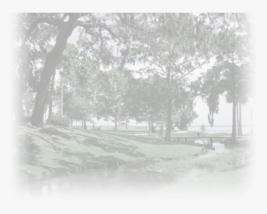 Green Fog Png -hgbc Bg - Grove, Transparent Png , Transparent Png Image ...