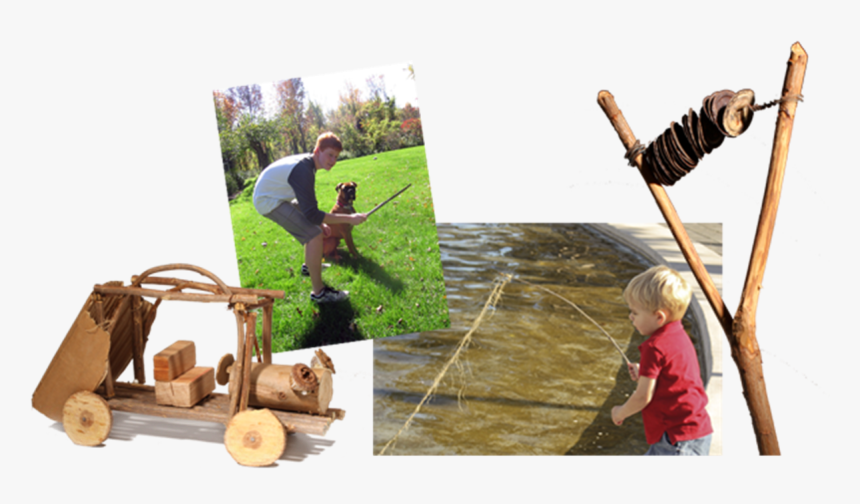 Tree Stick Png, Transparent Png , Transparent Png Image - PNGitem