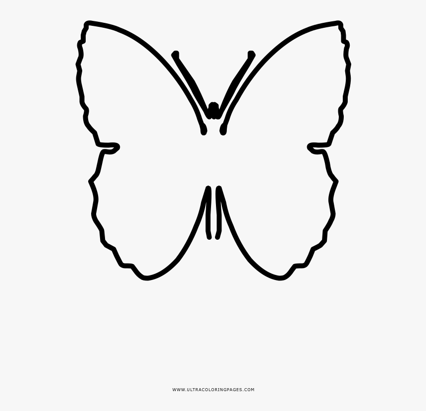Brush-footed Butterflies Butterfly Drawing Coloring - Pieridae, HD Png ...