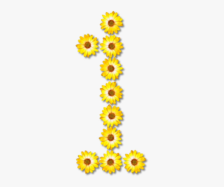 Common Sunflower Number Numerical Digit Typography - Sunflower Number 6 ...