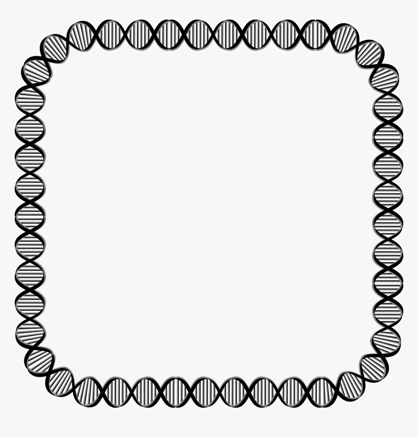 Dna Border Clipart, HD Png Download , Transparent Png Image - PNGitem