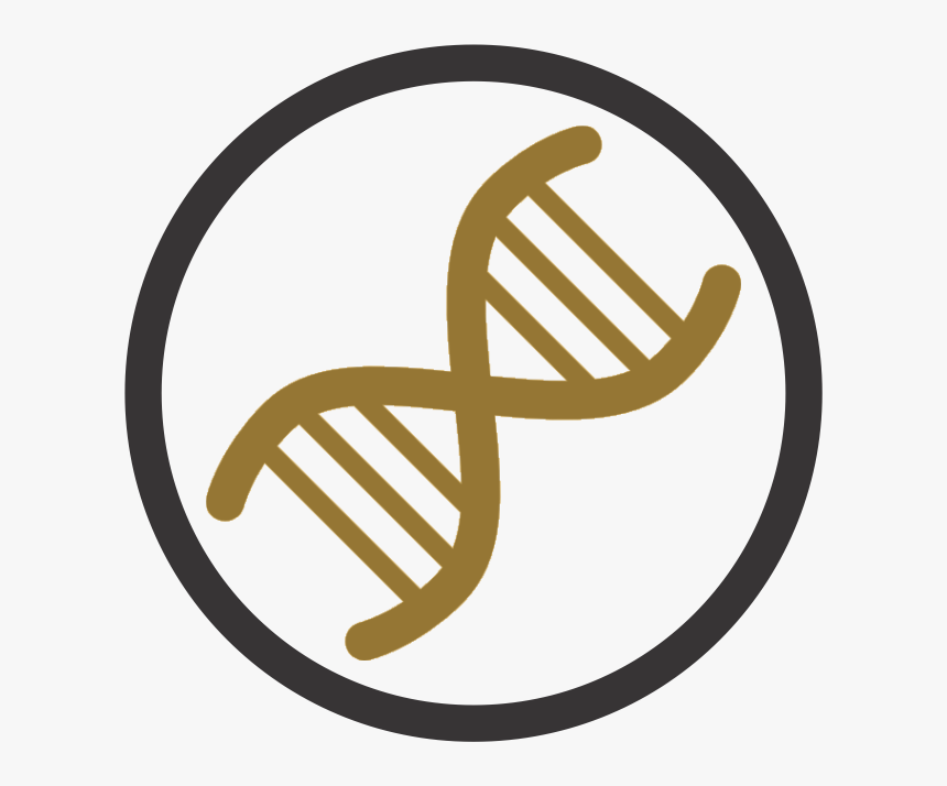 Genetic Code Clip Art Black And White, HD Png Download , Transparent ...