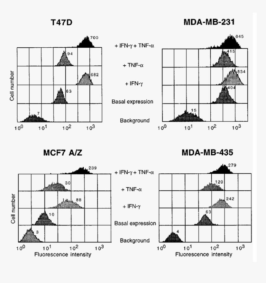 Mhc Expression Cell Lines, HD Png Download , Transparent Png Image ...