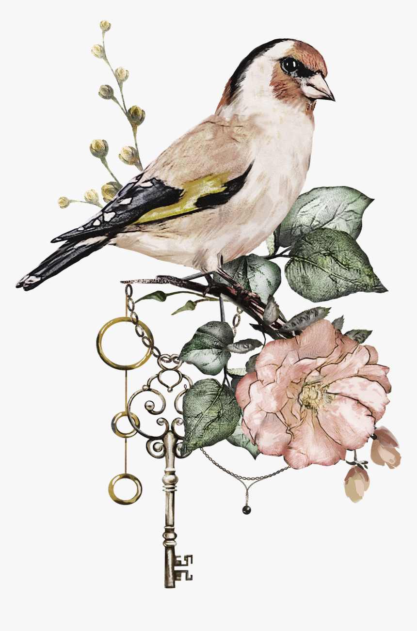 Transparent Watercolor Bird Png - Birds With Flowers Png, Png Download ...