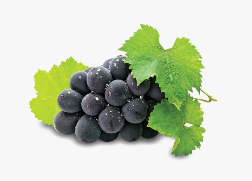 Grape Seed Extract Powder, HD Png Download , Transparent Png Image ...