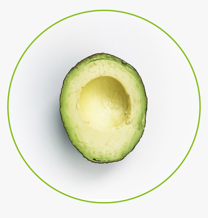 Transparent Avocados Png - Avocado, Png Download , Transparent Png ...