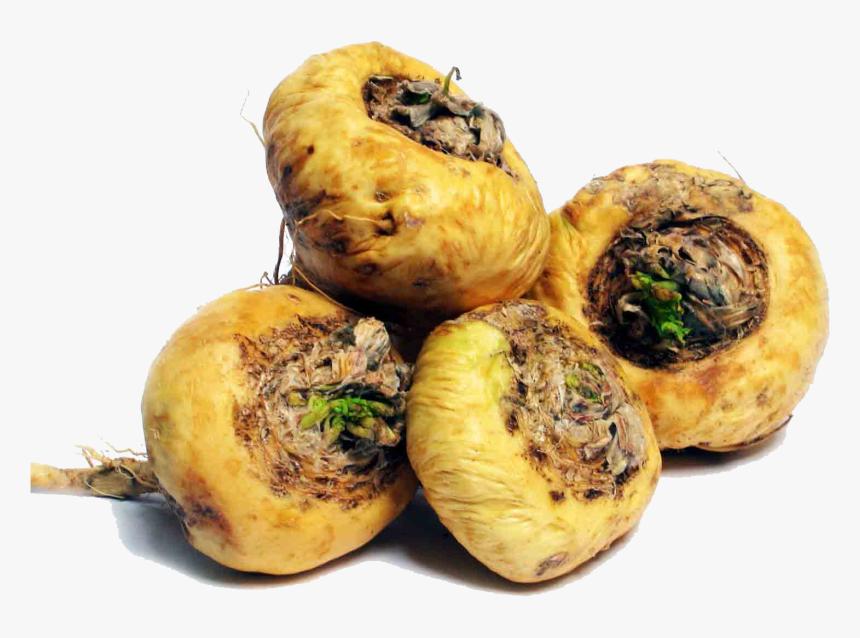 Maca Extract, HD Png Download , Transparent Png Image - PNGitem