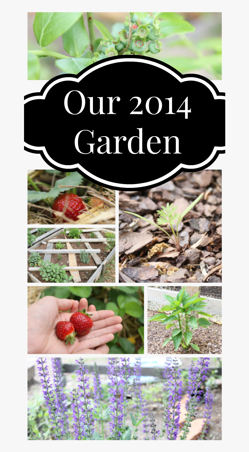 Our 2014 Garden - Challenges, HD Png Download , Transparent Png Image ...