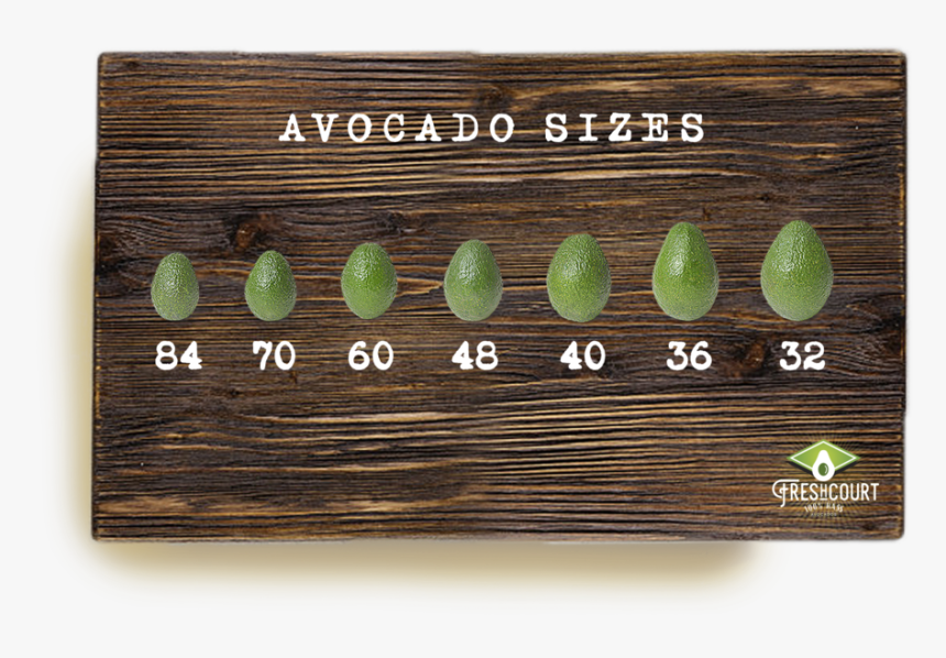 Avocado Sizes Table - Plywood, HD Png Download , Transparent Png Image ...
