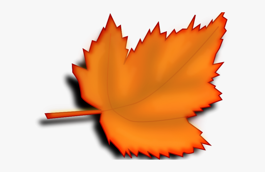 Fall Leaf Transparent Background, HD Png Download , Transparent Png ...