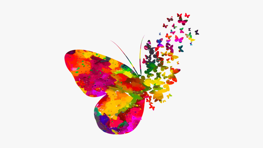 Colorful Butterfly Png, Transparent Png , Transparent Png Image - PNGitem