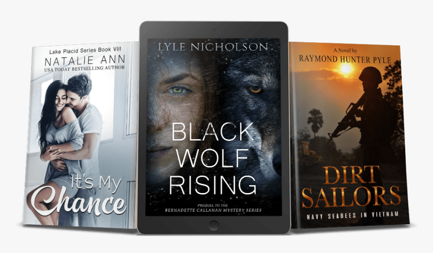 Brandi Mccann Ebook Cover Designs - Album Cover, HD Png Download ...