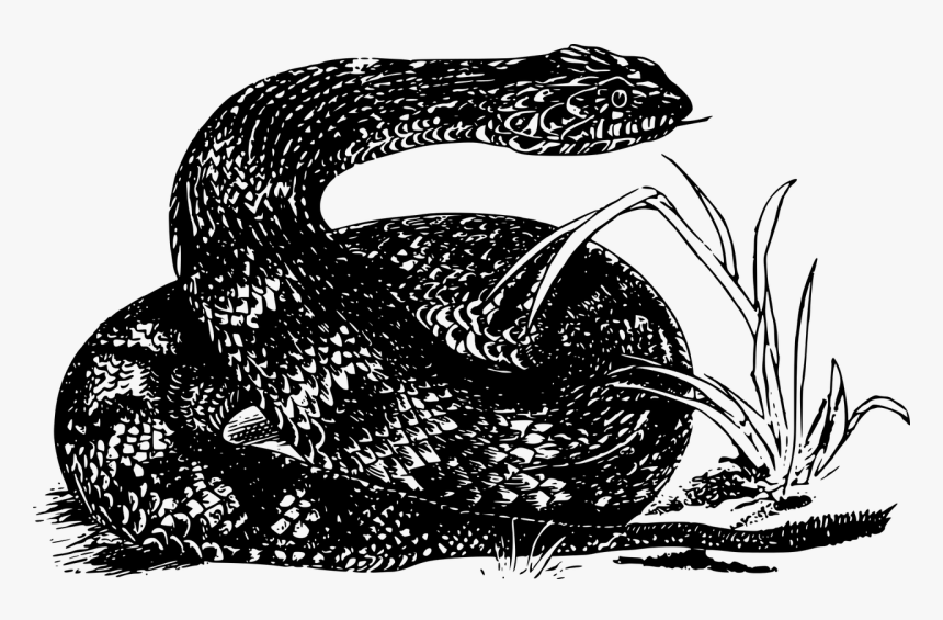 Cumsum Python, HD Png Download , Transparent Png Image - PNGitem