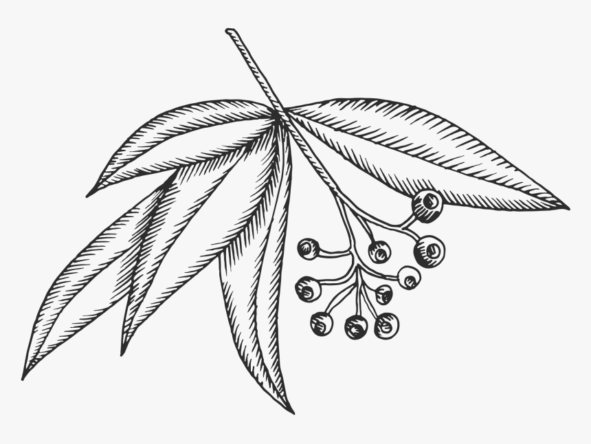 Gumleaf Clipart Of Children