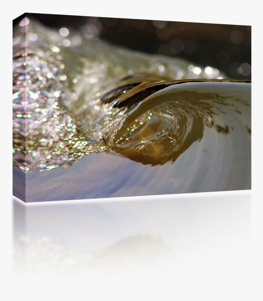 Macro Photography, HD Png Download , Transparent Png Image - PNGitem