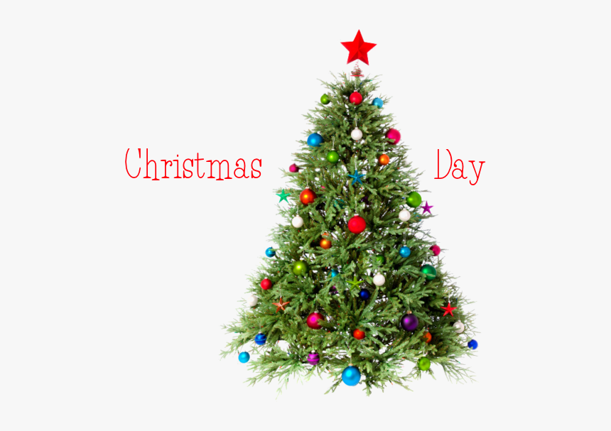 Christmas Day Tree Png Image - Merry Christmas Tree Png, Transparent ...