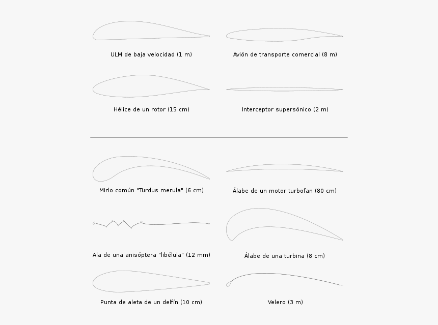 Tipos De Perfil Alar, HD Png Download , Transparent Png Image - PNGitem