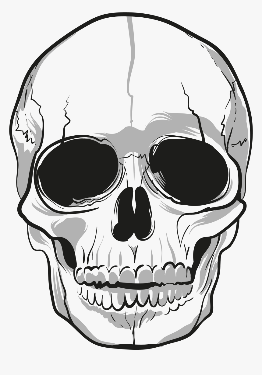 Png Transparent Skull Png, Png Download , Transparent Png Image - PNGitem