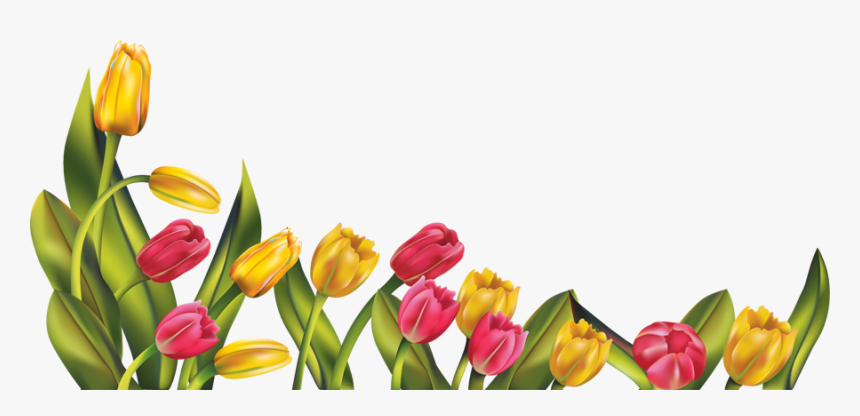 More Like [res] Tulip Border Png By Hanabell1 - Tulips Png, Transparent ...