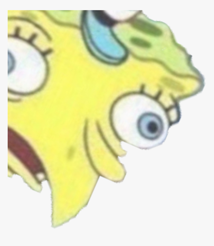 Filter Snapprefs Filterfilter - Spongebob Mocking Meme Transparent, HD ...