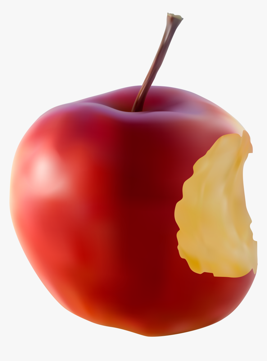 Free Transparent Cliparts Download Transparent Background, HD Png ...