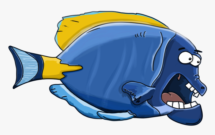 Fish, HD Png Download , Transparent Png Image - PNGitem