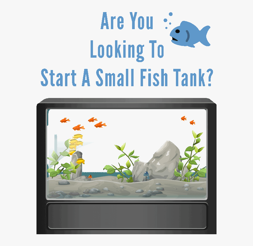 Aquarium Free Vector, HD Png Download , Transparent Png Image - PNGitem