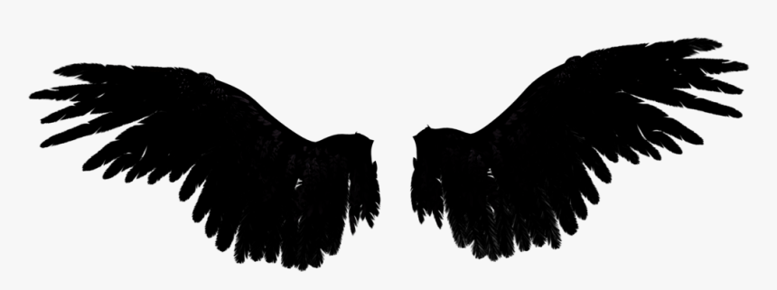 Castiel Wings Transparent, HD Png Download , Transparent Png Image ...