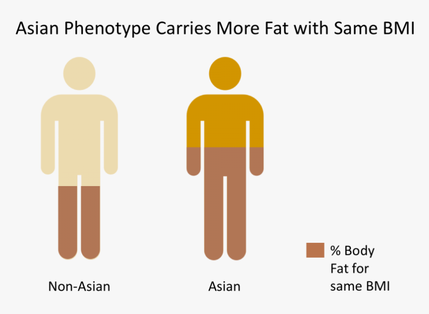Tofi Thin On The Outside, Fat On The Inside - Individual, HD Png ...