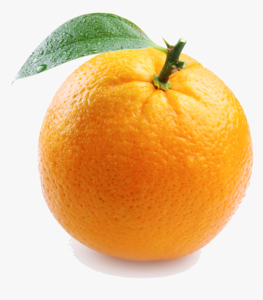 Single Orange Transparent Image - Things That Are Color Orange, HD Png ...