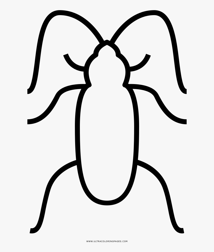 Cockroach Coloring Pages