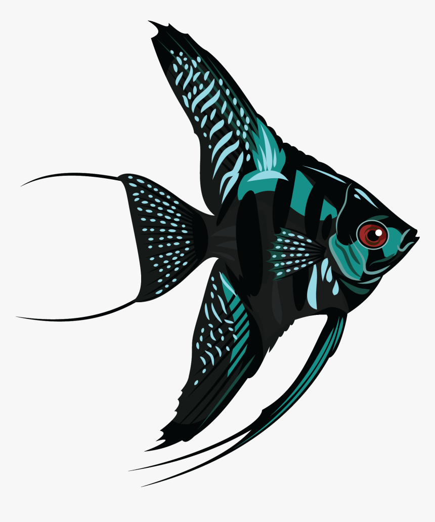 Fish Png Download - Angelfish Png, Transparent Png , Transparent Png ...