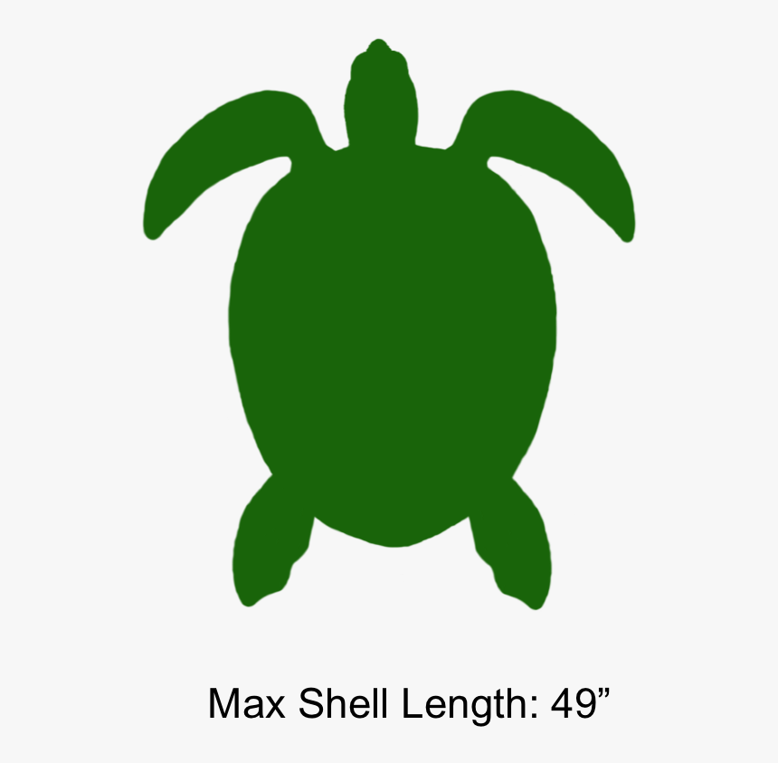 Green Turtle Clip Art