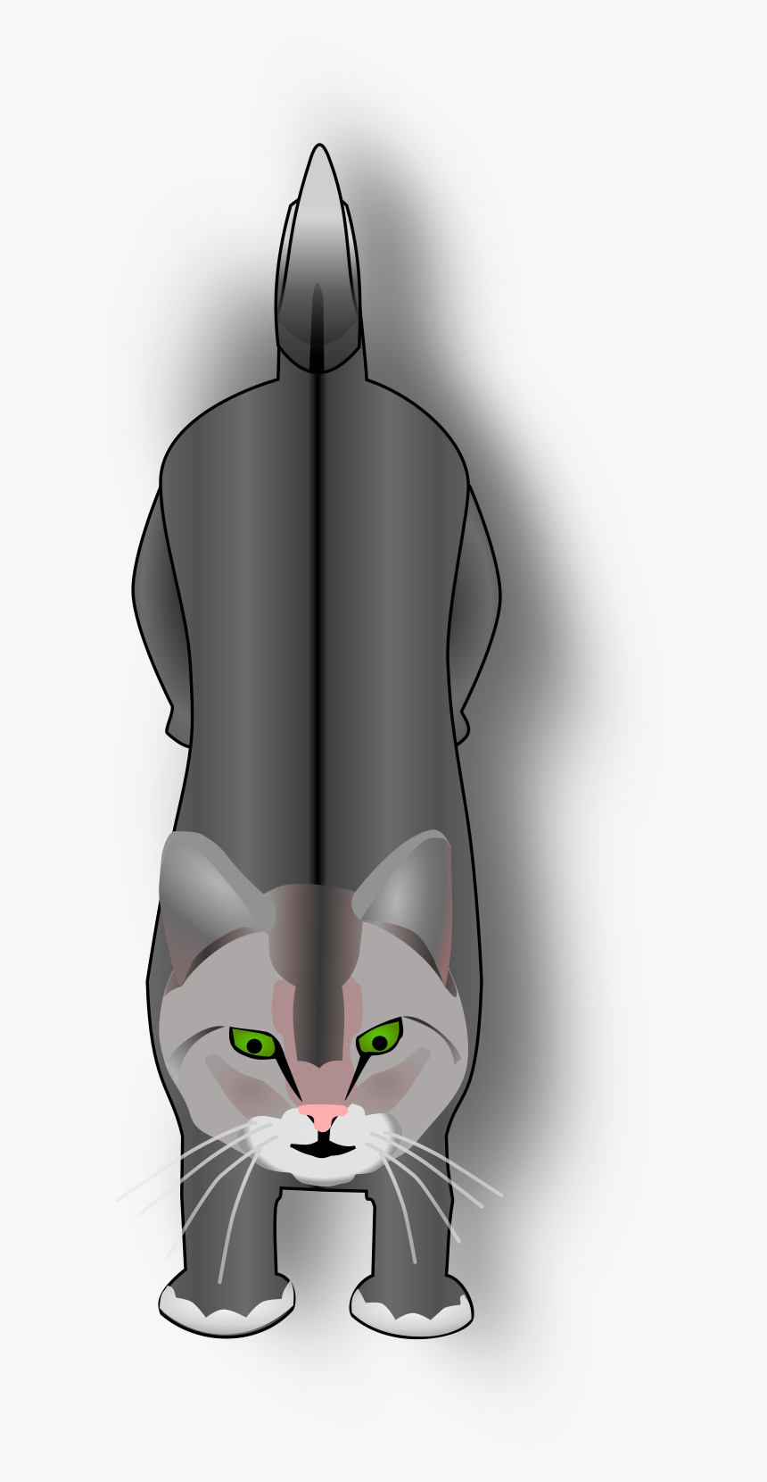 Cat Top View Png, Transparent Png , Transparent Png Image - PNGitem