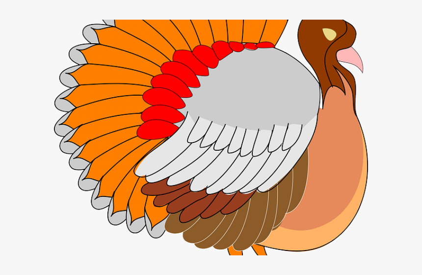 Turkey Bird Clipart Cornucopia - Clipart Turkey Png, Transparent Png ...